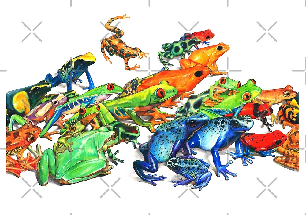 "Tropical Frog Collage" by Salmoneggs | Redbubble