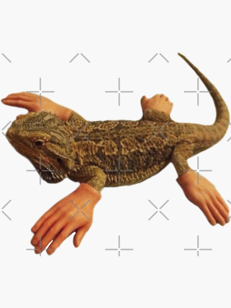 "Lizard Hands" Sticker for Sale by Elisecv | Redbubble