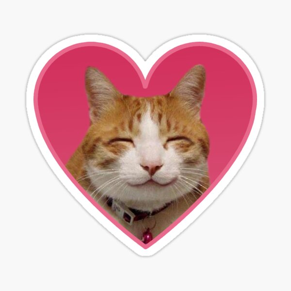 "Happy Kitty" Sticker for Sale by Elisecv | Redbubble