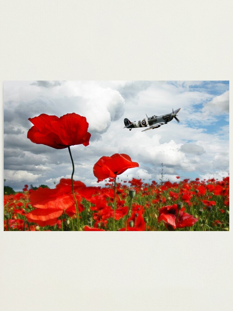 "Spitfire Over The Poppy" Photographic Print for Sale by aviationart ...