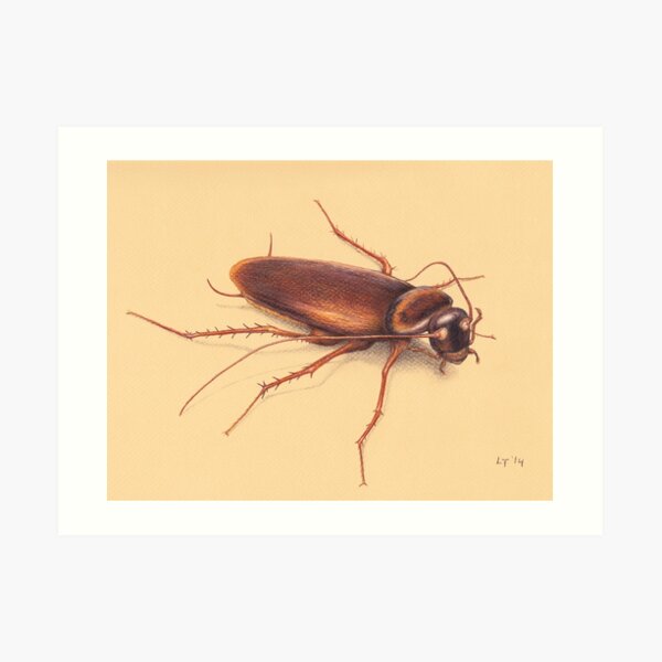 "Roach" Art Print for Sale by LFurtwaengler | Redbubble