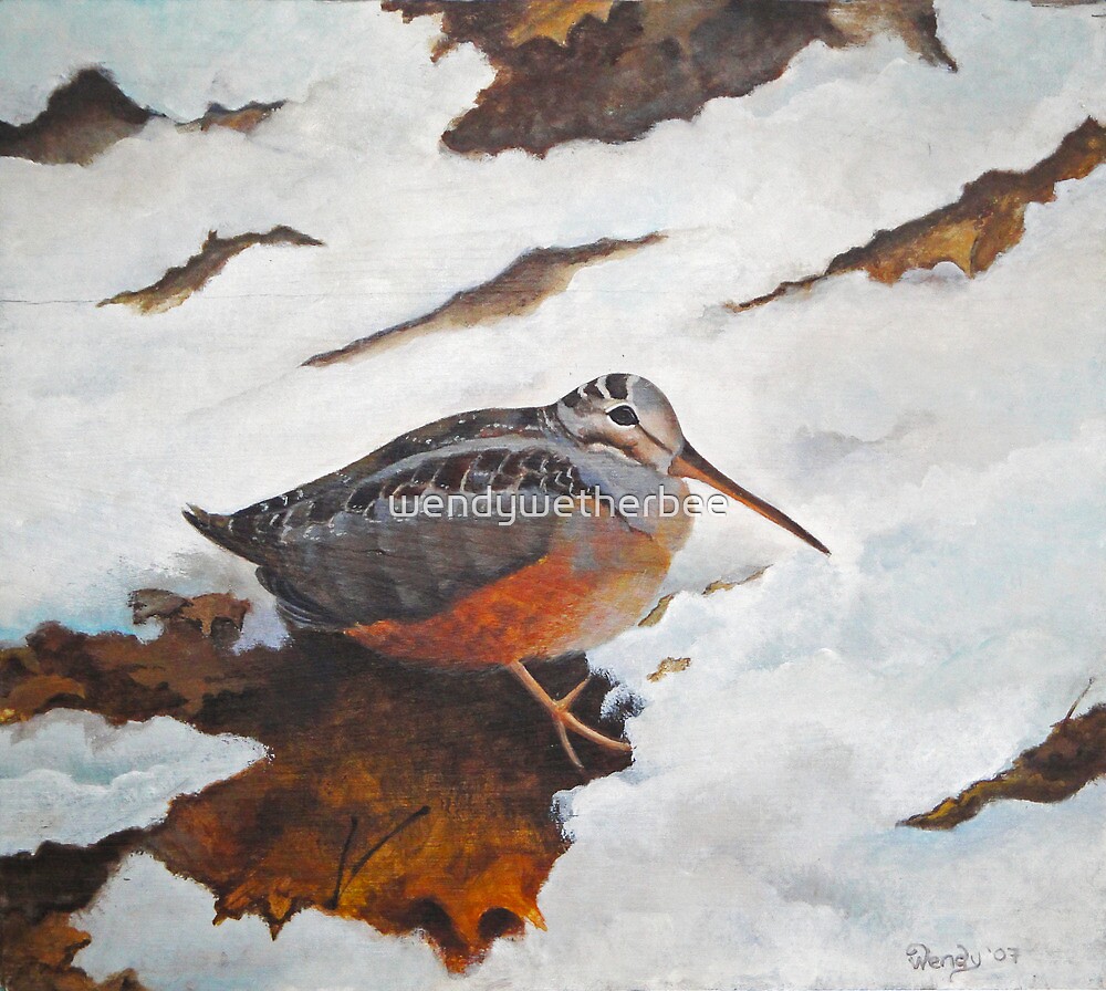 ""Timberdoodle" - American Woodcock" by wendywetherbee | Redbubble