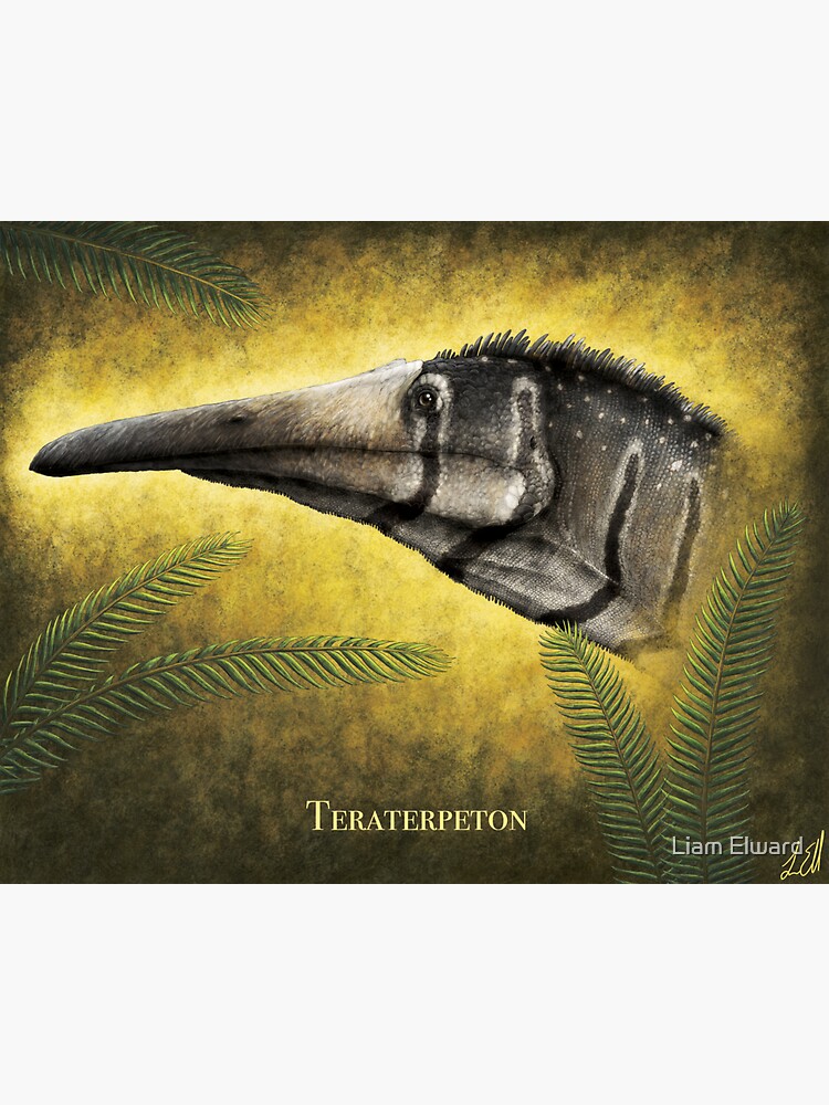 "Teraterpeton Portrait" Sticker for Sale by liamelward | Redbubble