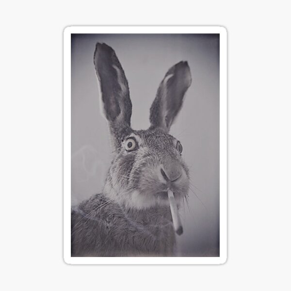Smoking Bunny Stickers | Redbubble