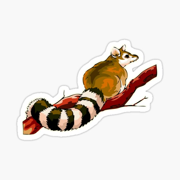 "Ringtail" Sticker for Sale by DonnaPeaches | Redbubble