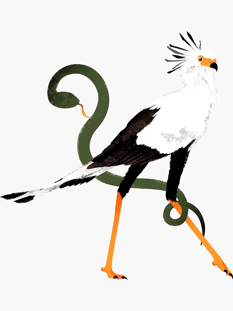 "Secretary bird" Sticker by GiuSquid | Redbubble