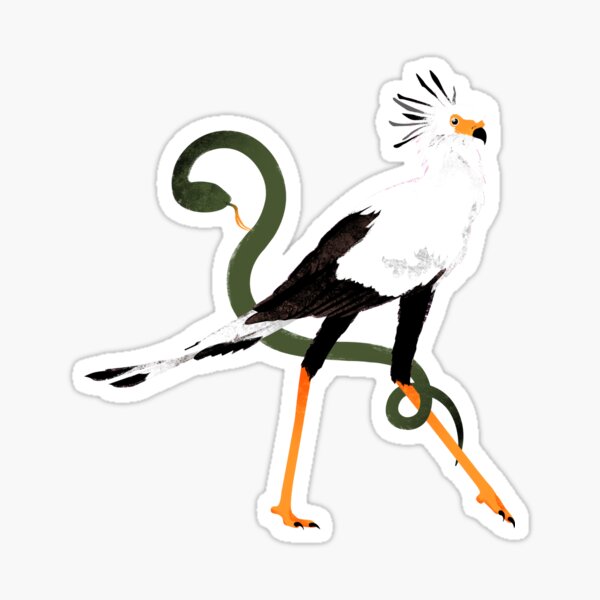 "Secretary bird" Sticker by GiuSquid | Redbubble