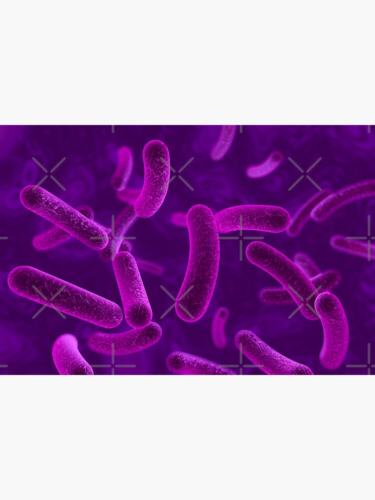 "Purple bacteria on purple background" Sticker for Sale by MarynaOlyak ...