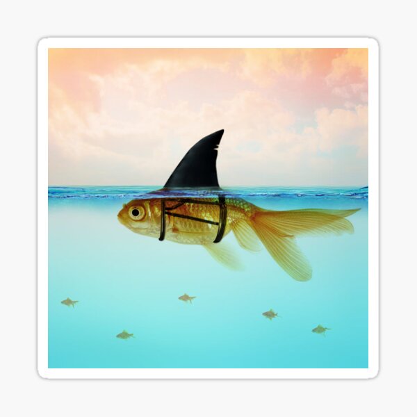 "Goldfish with a Shark Fin" Sticker by vinpez | Redbubble