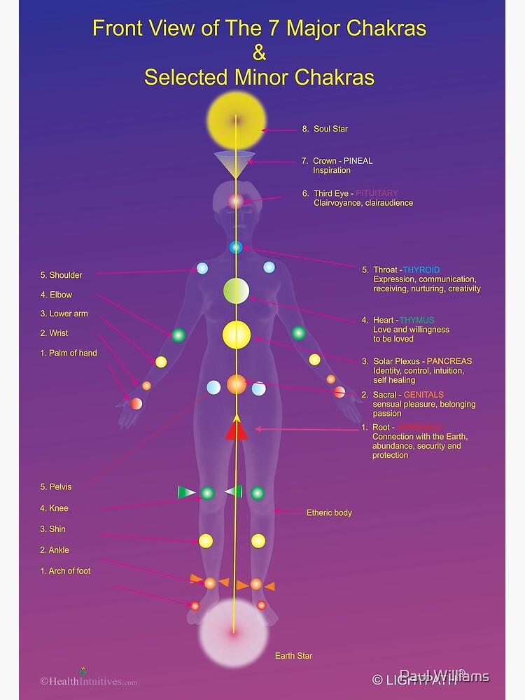"Major and Minor Chakras" Framed Art Print by healthintuitive | Redbubble
