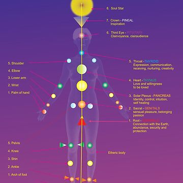"Major and Minor Chakras" Art Print for Sale by Paul Williams | Redbubble