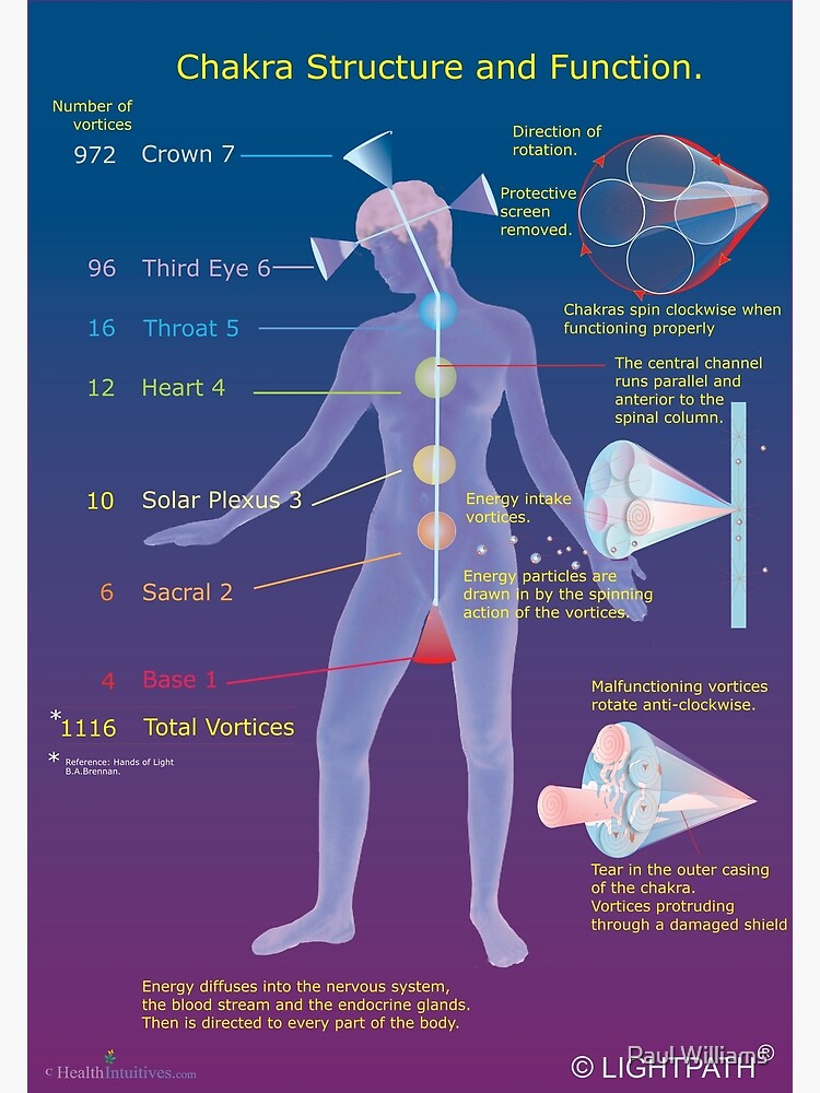 "Chakra Structure and Function" Poster for Sale by healthintuitive ...