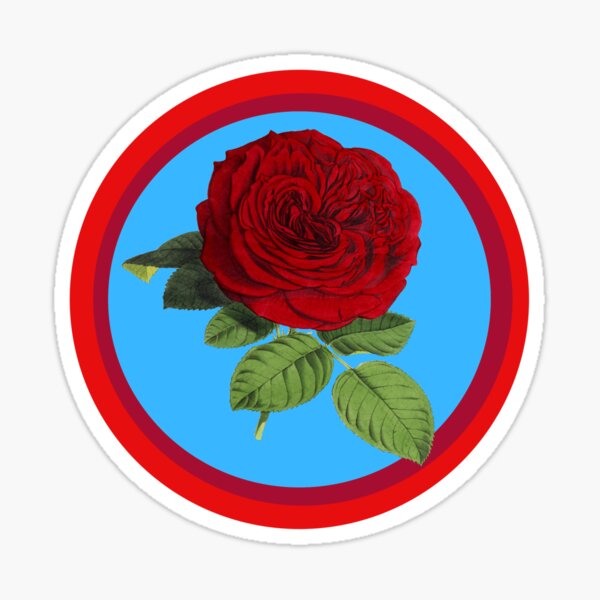 Pop Socket Stickers | Redbubble