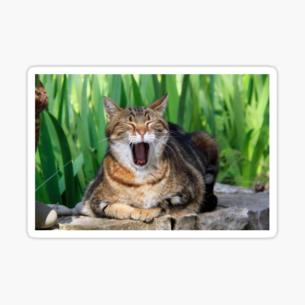 Yawn Yawning Gifts & Merchandise | Redbubble