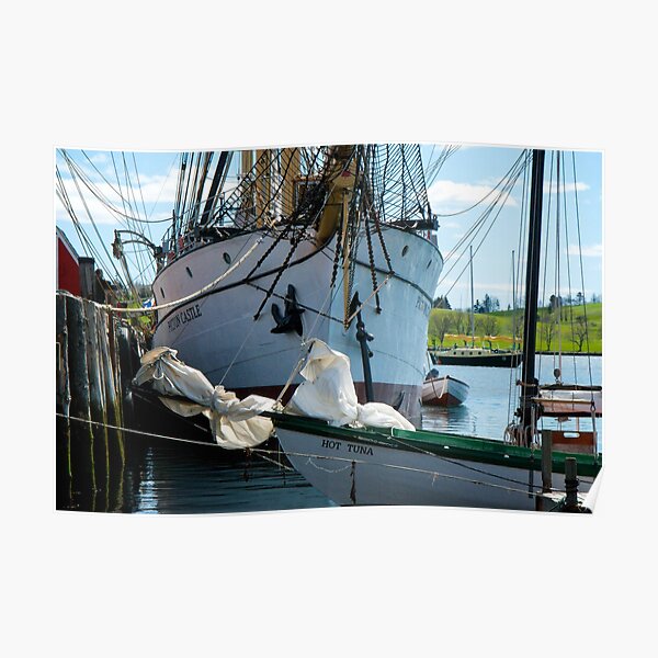 "The Barque Picton Castle" Poster by roxanebay | Redbubble