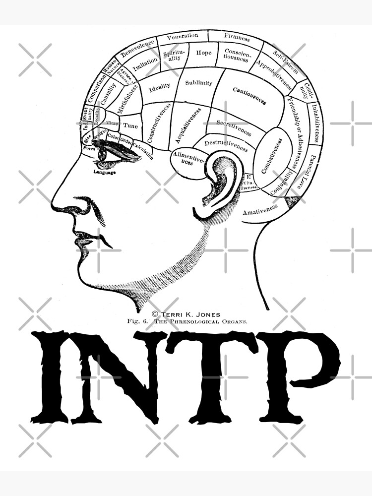 "INTP Myers-Briggs Personality Test " Art Print by terrikjones | Redbubble