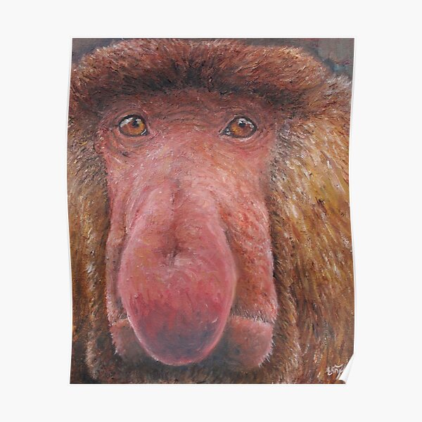 "Proboscis Monkey (Nasalis larvatus)" Poster for Sale by elinjohnsen ...