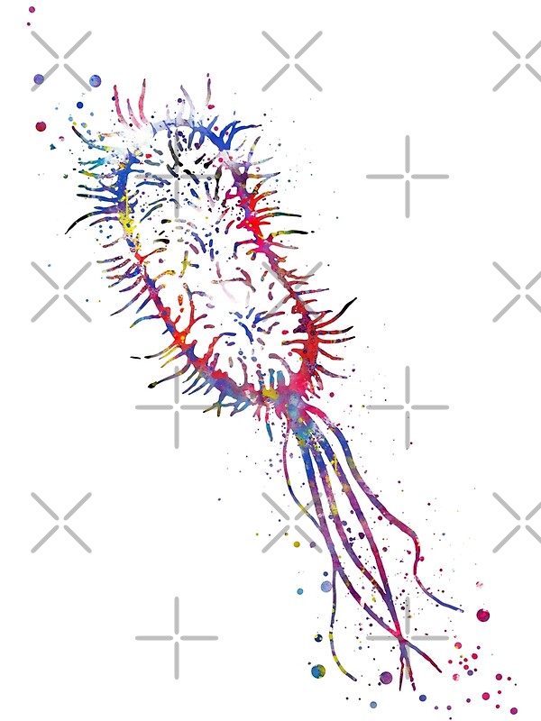 "Listeria monocytogenes, listeria watercolor, bacteriophage virus" by ...