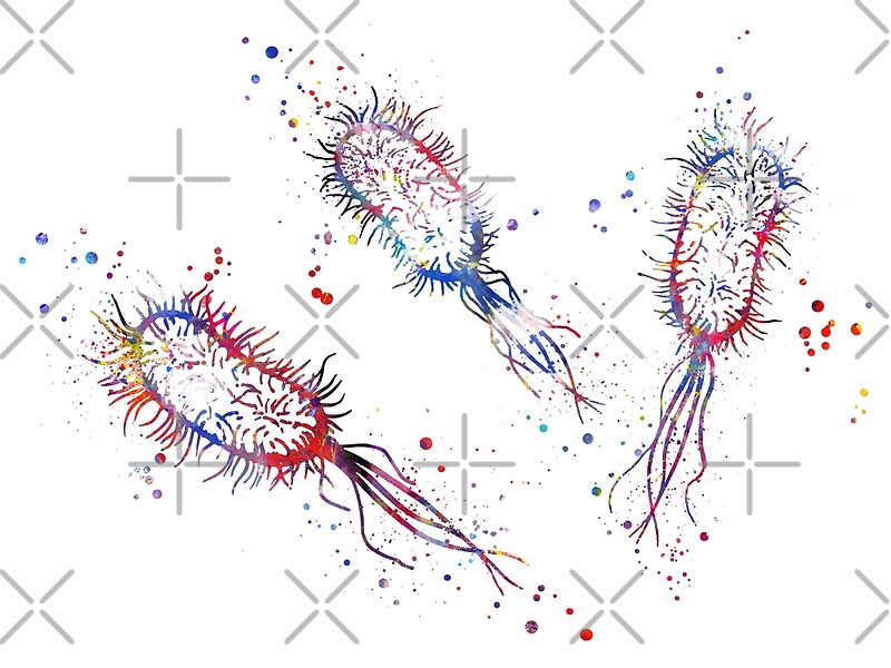"Listeria monocytogenes, listeria watercolor, bacteriophage virus" by ...