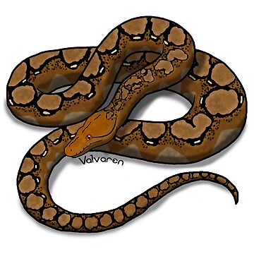 "Reticulated Python Sticker" Sticker for Sale by Valvaren | Redbubble