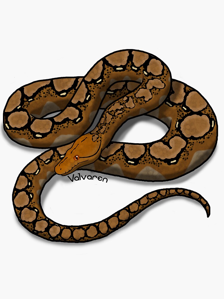 "Reticulated Python Sticker" Sticker for Sale by Valvaren | Redbubble