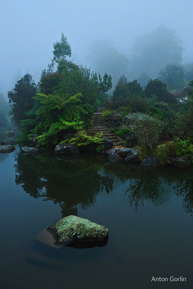 "Lorien" by Anton Gorlin | Redbubble