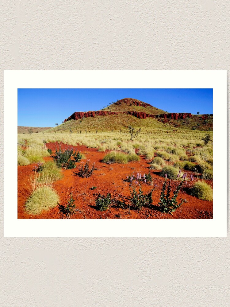 "Pilbara Landscape" Art Print for Sale by Harry Oldmeadow | Redbubble