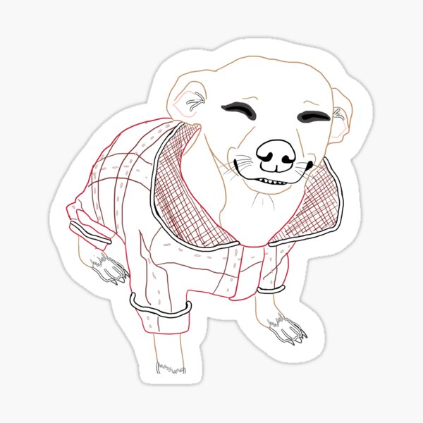 "Chubby Chiweenie" Sticker for Sale by Monkeydoodle5 | Redbubble