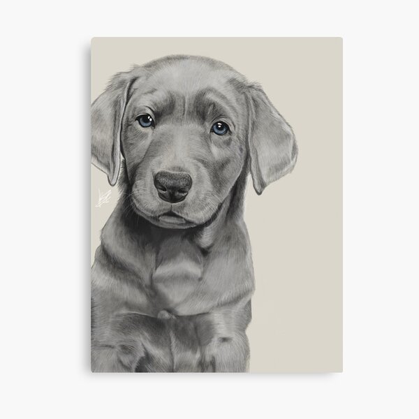 Silver Lab Gifts & Merchandise | Redbubble