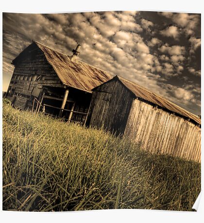 Timberland: Posters | Redbubble