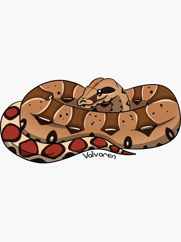 "Normal Boa Constrictor Sticker" Sticker for Sale by Valvaren | Redbubble