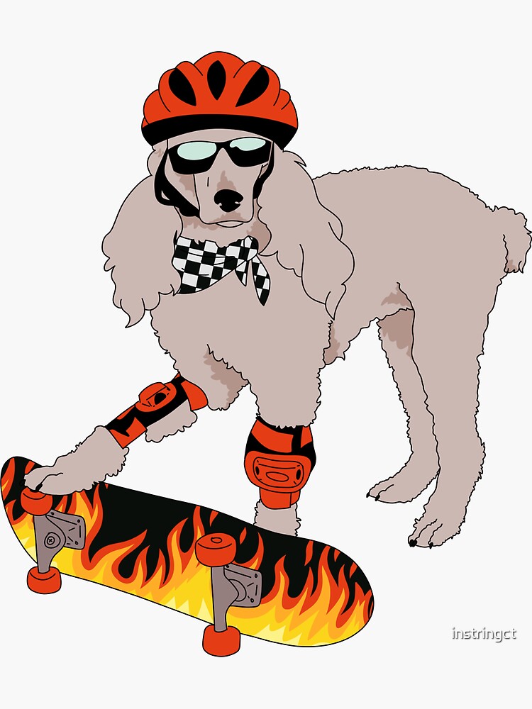 "sk8 or die" Sticker for Sale by instringct | Redbubble