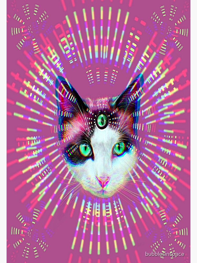 "The Third Eye Forbidden Kitty Frequency: A Feline Secret Pink Harmony ...