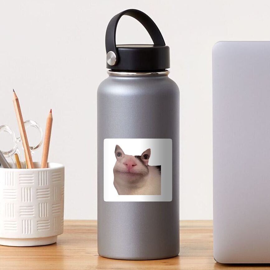 "Katze Meme mit Augen in den Ohren" Sticker von hkosbo | Redbubble