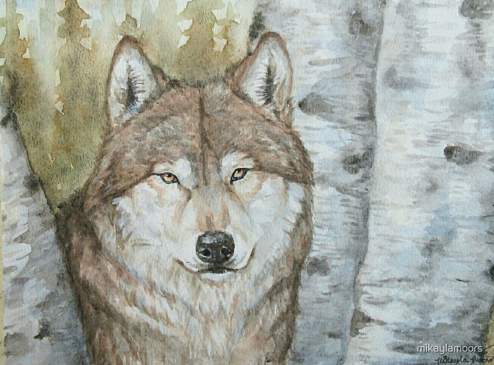 "Wolf in Aspen Trees" by mikaylamoors | Redbubble