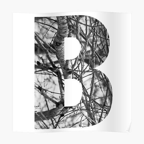 "Tree letter B" Poster for Sale by PCollection | Redbubble