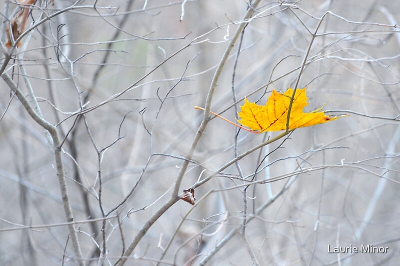 a singular leaf, an Autumn memory..." by Laurie Minor | Redbubble