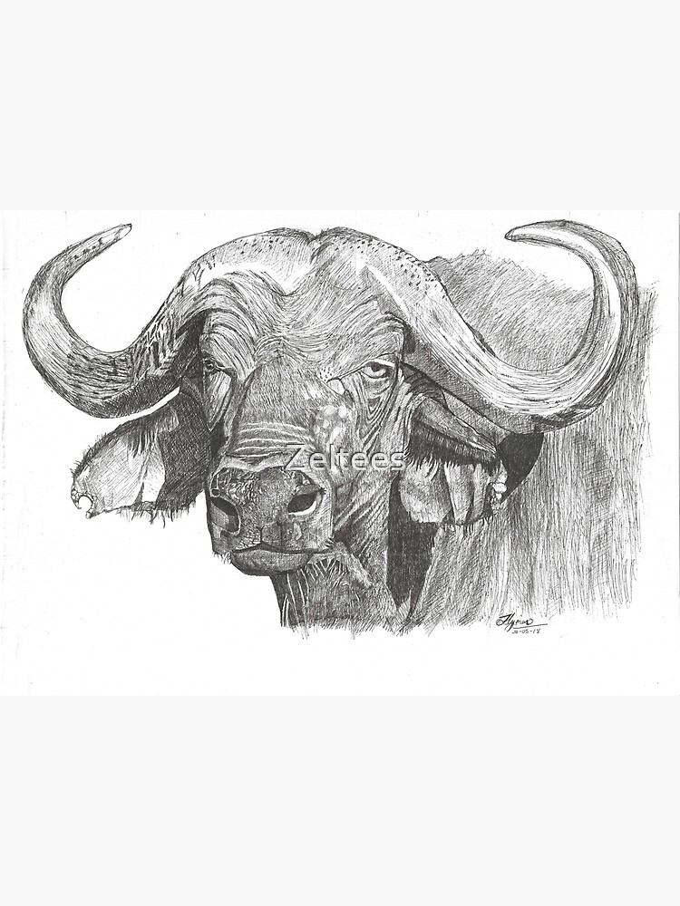 "Big five Buffalo " Poster for Sale by Zeltees | Redbubble