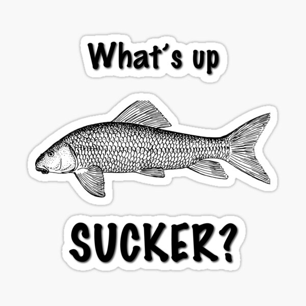 "What's Up Sucker? Koi, Carp Fish Bottom Feeder Classic White and Black ...