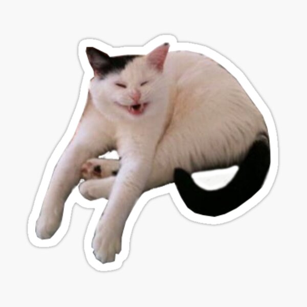 "cat" Sticker by wonwow | Redbubble