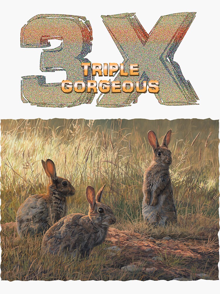 "Cute Young Rabbits "TRIPLE GORGEOUS"" Sticker for Sale by ...