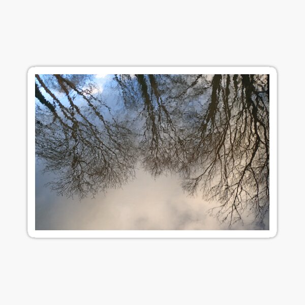 "In the World of Oberon and Titania" Sticker for Sale by Kasia-D ...