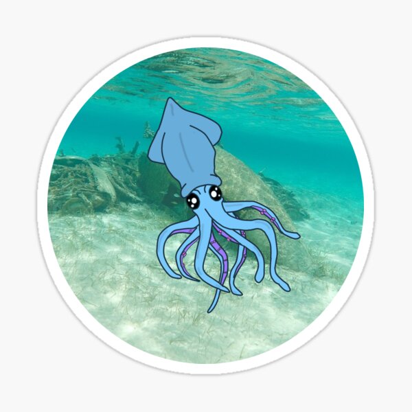 "Calamari in the sea octopus design" Sticker by phys | Redbubble