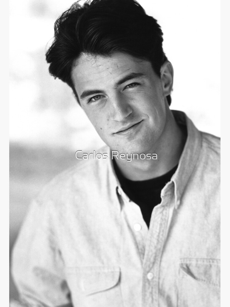 "Mr. Perry" Poster by guitarlos | Redbubble