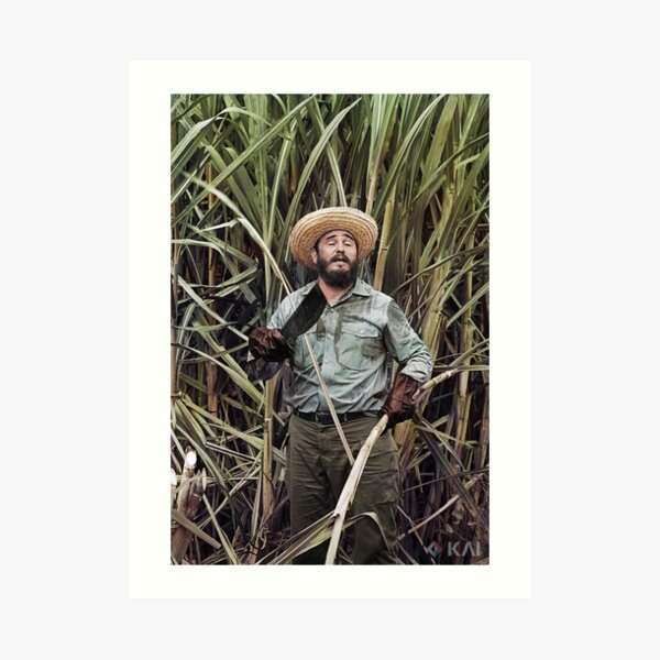 "Fidel Castro, 1969 colorized" Art Print for Sale by KAI-Studio | Redbubble