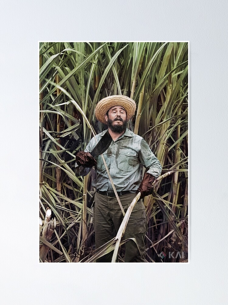 "Fidel Castro, 1969 colorized" Poster for Sale by KAI-Studio | Redbubble