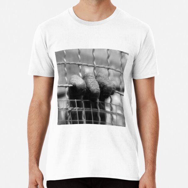 "rusty cage" T-shirt for Sale by HippieVan-57 | Redbubble | zoo t ...