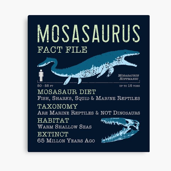 "Mosasaurus Facts" Canvas Print by IncognitoMode | Redbubble