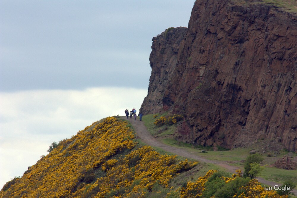 "Round and round the radical road" by Ian Coyle | Redbubble