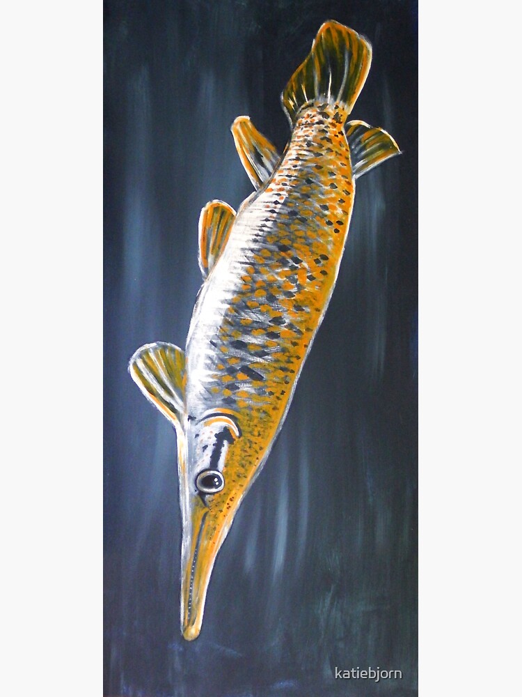 "Alligator gar" Sticker for Sale by katiebjorn | Redbubble